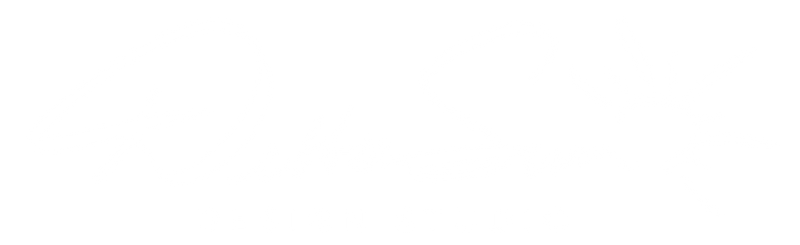 Vibrant Textile Designs – Debbie Sun Design Studio